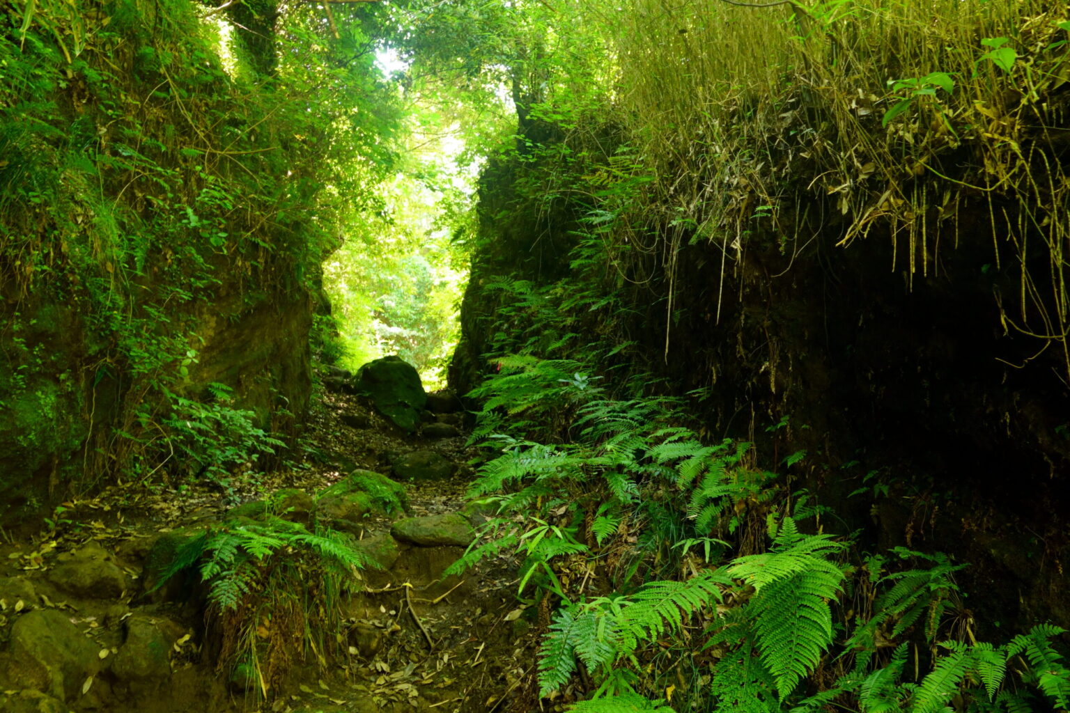 Introduction of Hiking Courses in Kamakura - The Complete Guide to ...