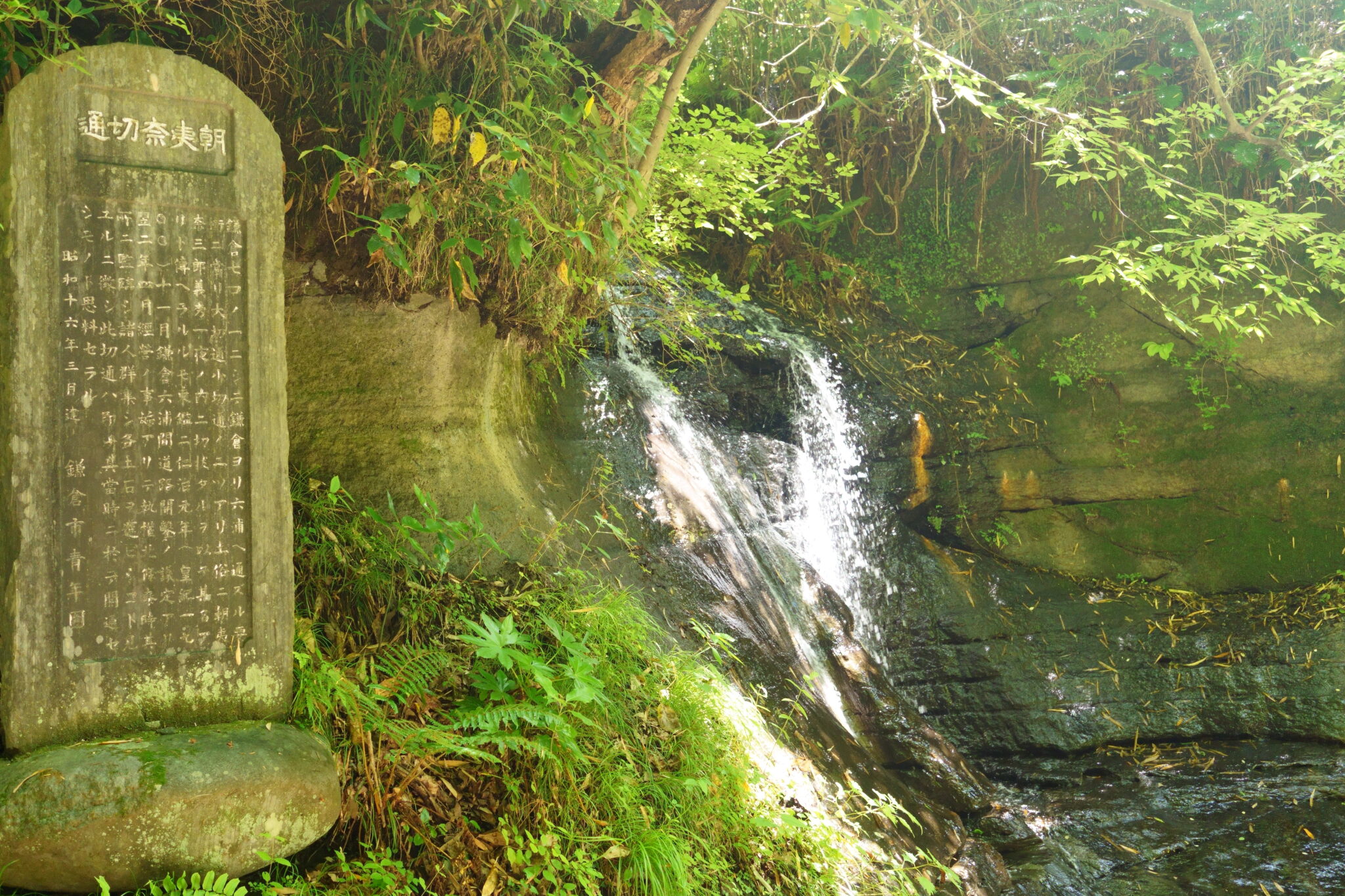 Introduction of Hiking Courses in Kamakura - The Complete Guide to ...