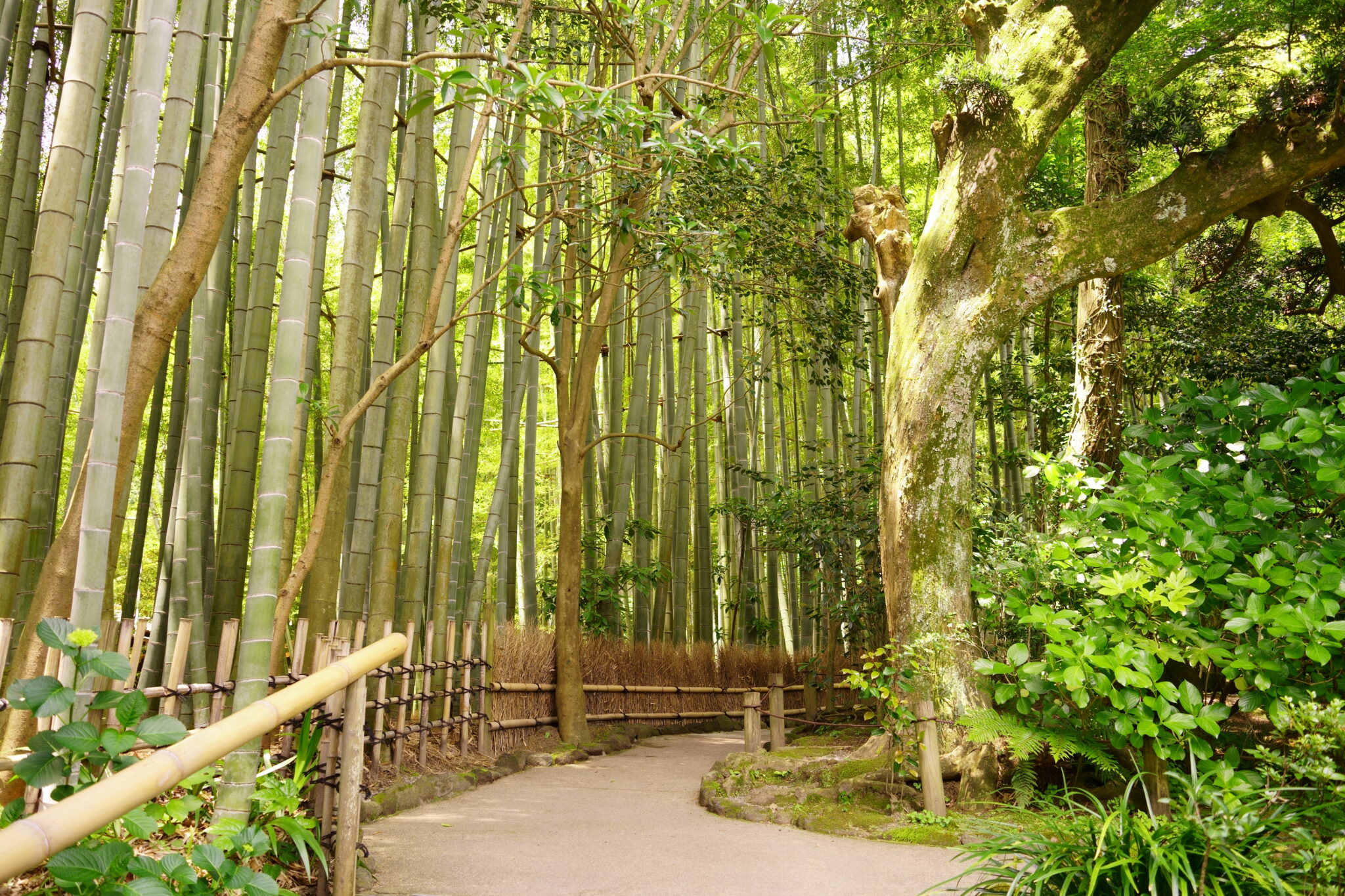 鎌倉ハイキングコースをGoogleマップ連携でとてもわかりやすく解説 – E:朝比奈切通